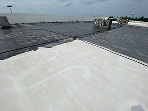 The Significance of Flat Roof Coating - Ace Roof Systems